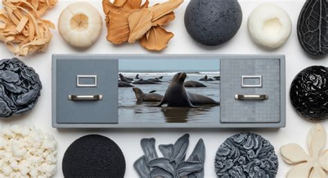 Policy Frameworks → Term