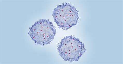 Immature Platelet Fraction Ipf