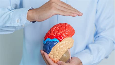 Stem Cell Therapy For Stroke Recovery Advanced Treatment Options 2025