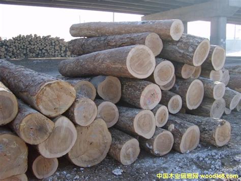 枫桦丽景意思大山谷图库