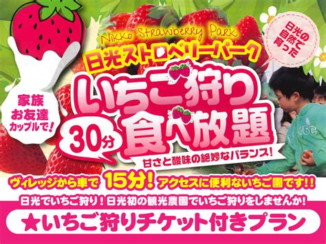 いちご狩りプランスタート！【日光ストロベリーパーク】 【公式】グランピングリゾート ブリリアントヴィレッジ日光｜栃木県