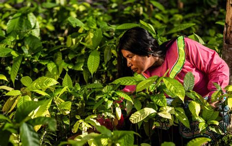 Minera Volcan Aprueba Financiamiento Hasta Por US 975 Millones Para