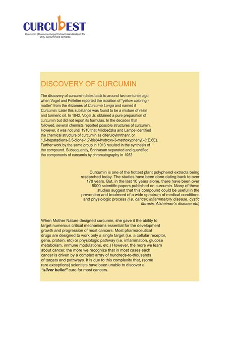 Curcumin Tablet 500mg Pdf
