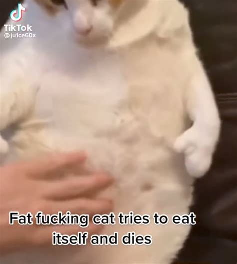 Otag R Pedrito Crticas