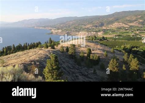 Lake Munson Stock Videos And Footage Hd And 4k Video Clips Alamy