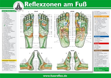 Reflexzonen Hanne Marquardt Fußreflexzonen