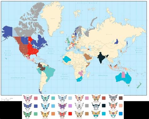 Vivilon Patterns Locations