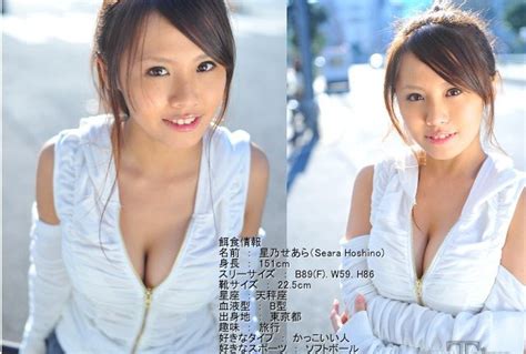 Seara Hoshino High Quality Jav