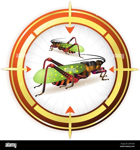 Sniper Target With Grasshopper Stock Vector Image And Art Alamy