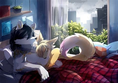 O Que E O Cio Furrys Amino