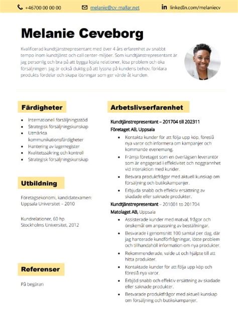 Cv Den Perfekta Mallen F R Ett Cv