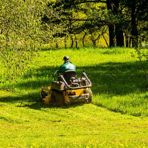 Local Grass Cutting Service Affordable Services Near You