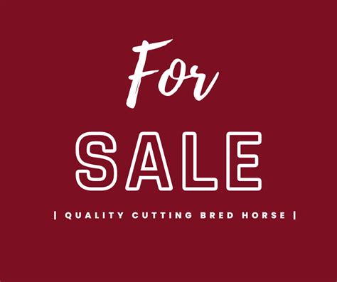 Highway To Hell X Hard Hat Hilda Yearling Gelding Mat Oakley
