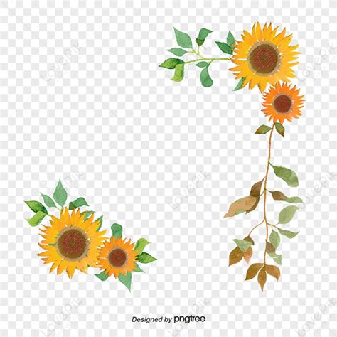 벡터 자유형 해바라기 일러스트색깔하얀귀엽다 Png 일러스트 무료 다운로드 Lovepik