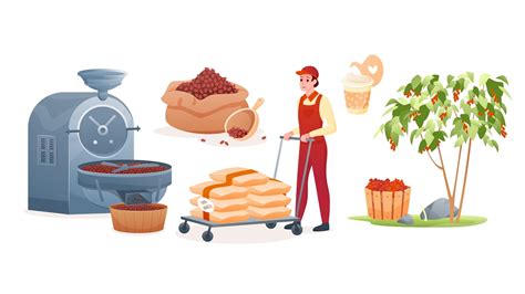 Coffee Processing Methods Guide Green Bean Secrets