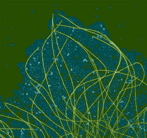 Bug Slide Inference Mode Does Not Perform As Expected · Issue 2214