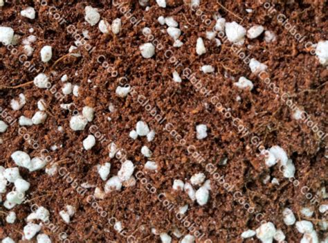 Coco Coir Perlite Mix In Viet Nam Coco Coir Global