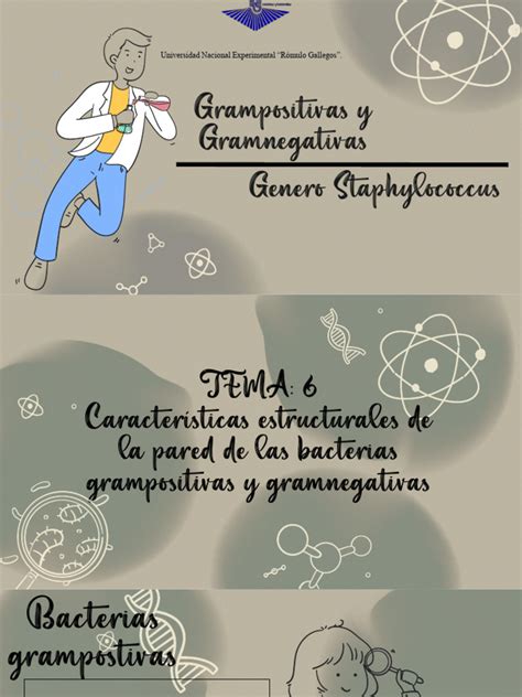 Estafilococos Pdf2 Pdf Staphylococcus Aureus Sistema Inmune