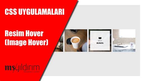 Css Animasyonlu Resim Hover Efekt Css Animation Image Hover Effect