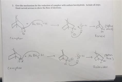 Solved 3. Give the mechanism for the reduction of camphor | Chegg.com