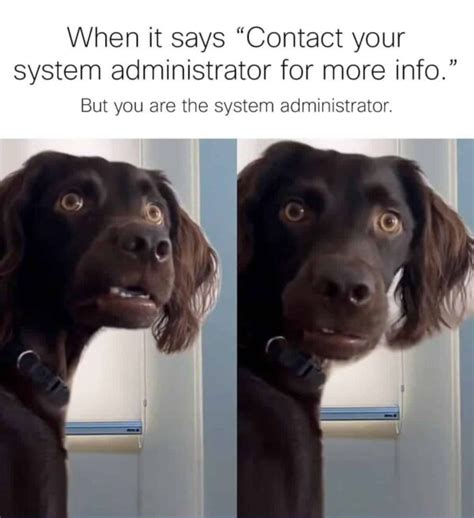 37 Funny Technology Memes For Those That Chose The Bug Life