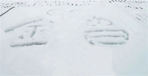今日大雪：万物藏 冬安好腾讯新闻