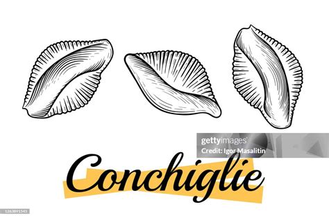 Conchiglie Pasta Outline Icon Retro Style Engraving Style Hand Drawing