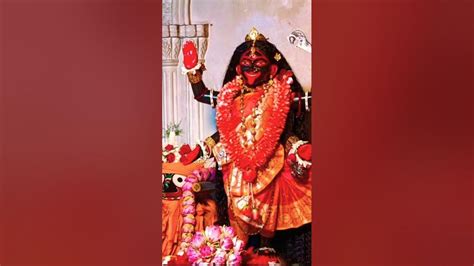 কলকাতার জীবন্ত শ্যামসুন্দরী মা 🌺🙏 Jaymaa Shortvideo Maa Youtube