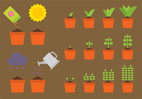 Vector Plants Growing 97341 Vector Art At Vecteezy
