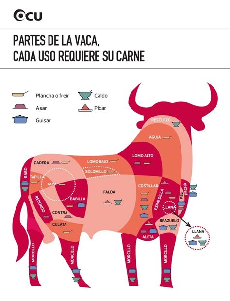 Partes De La Carne Vacuno 10 Principales Cortes De La Carne De Vacuno