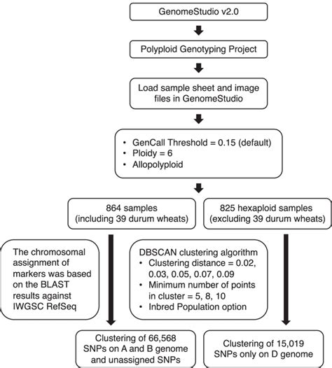 In House Pipeline Developed For Clustering Snps In Wheat Subgenomes