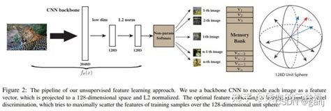 经典论文学习笔记——13篇对比学习（contrastive learning） 动量编码器 csdn博客