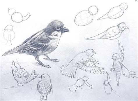 Toy Design Nid Entrance Exam Uceed And Ceed Exam Predicted Sketching Questions