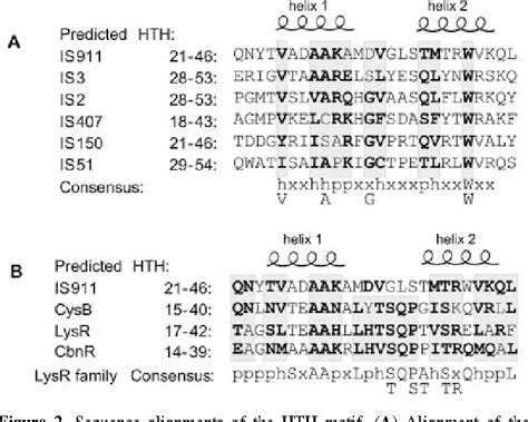 Figure 1 From The Helix Turn Helix Motif Of Bacterial Insertion Sequence Is911 Transposase Is