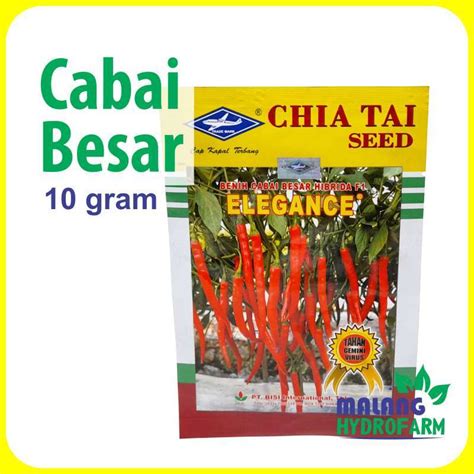 Jual Benih Cabai Besar Elegance Gram Cap Kapal Terbang Merah Hijau Elegan Hydroponik