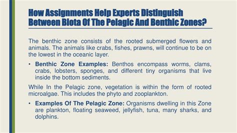 PPT Distinguish Between Biota Of The Pelagic And Benthic PowerPoint Presentation ID