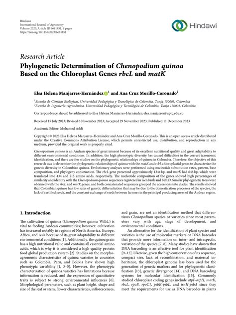 Pdf Phylogenetic Determination Of Chenopodium Quinoabased On The