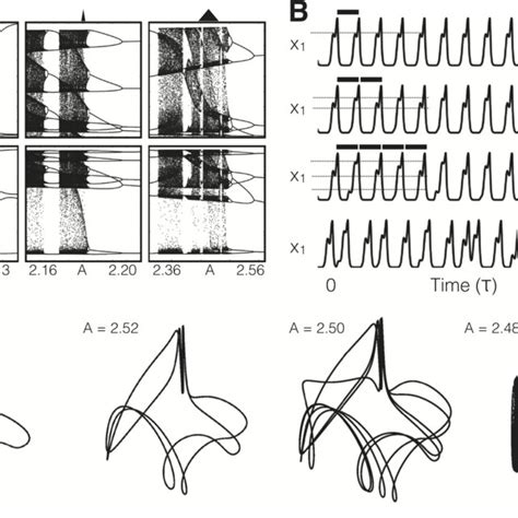 Dynamics Of The Circuits In Isolation Download Scientific Diagram