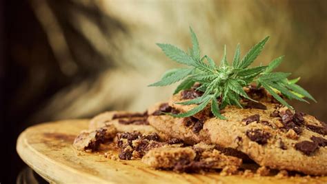 Aldi Cookies The Perfect Sweet Treats For Every Occasion
