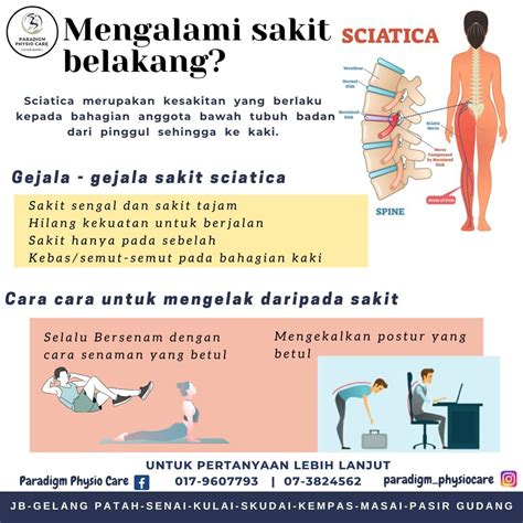 🌟apa Itu Sakit Sciatica🌟 Sciatica Paradigm Physio Care