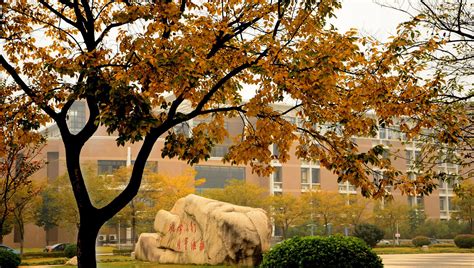 心理学考研大纲发布后复习重点有哪些？ 知乎