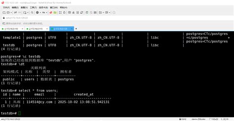 Linux 下 Postgresql 安装与常用操作指南
