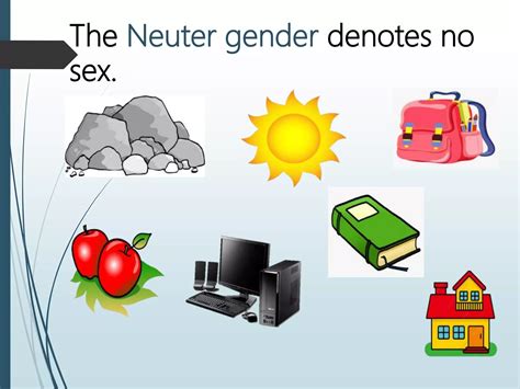 Gender Of Nouns PPTX Pets Gender Of Nouns PPTX Pets