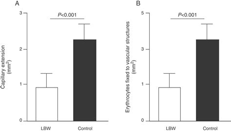 In Utero Fetal Programming And Its Impact On Health In Adulthood Endocrinología Y Nutrición