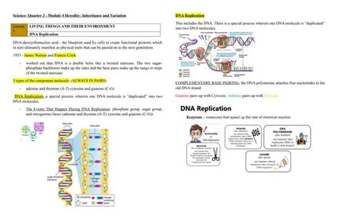 Notes In Module 4 Heredity Inheritance And Variationdocx