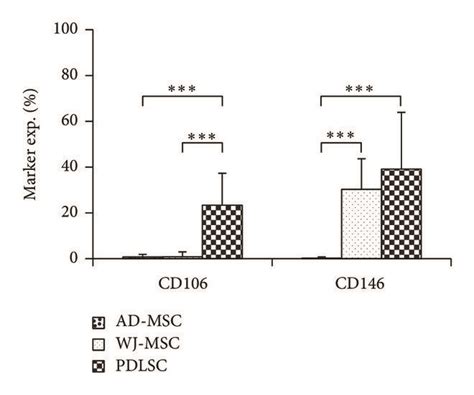 Heterogeneity Of The Different Msc Samples The Morphology Of The Cells