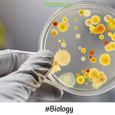 Biology Ss1 Classnotesng