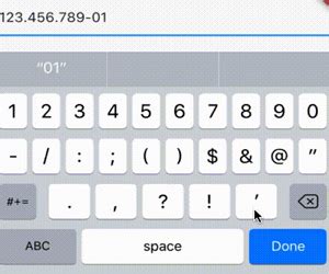 Masked Text Input For Flutter FlutterCore