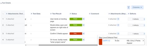 Zephyr Squad Cannot View Defect In Traceability M