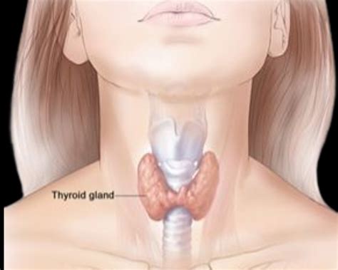 Thyroid And Dry Eyes Dr Reichmann